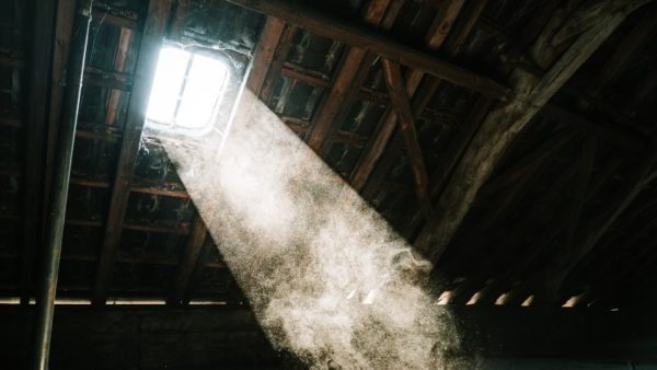 Where Does Dust Come From in an Empty House? | Domestications Bedding